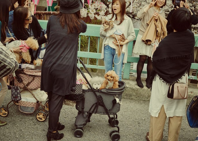 Artistry - PHOTOGRAPHY - Ronan Gallagher - Documentary Overview