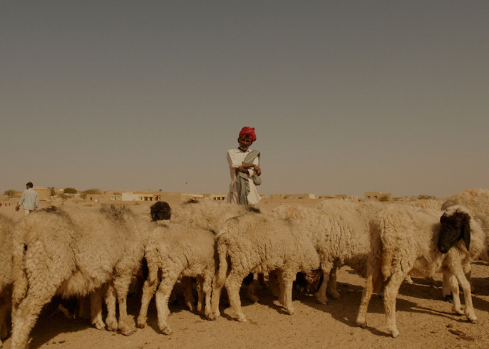 Artistry - PHOTOGRAPHY - Ronan Gallagher - Documentary Overview