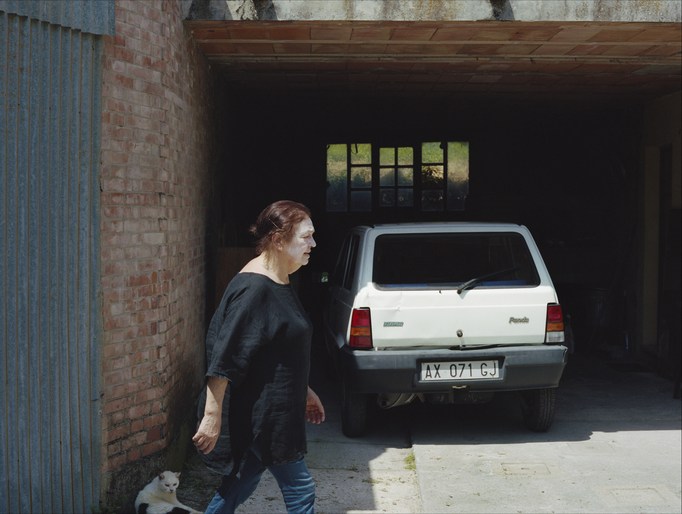 Artistry - PHOTOGRAPHY - Alice Neale - PROTECT