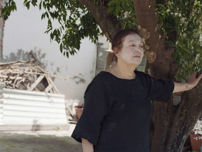 Artistry - PHOTOGRAPHY - Alice Neale - PROTECT