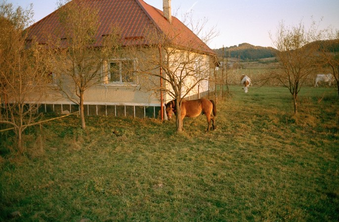 Artistry - PHOTOGRAPHY - Ronan Gallagher - FAMILY PORTRAIT MAGAZINE