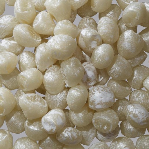 Eschliman Studio - News - ingredient-02-10-gum-base-from-food-24-25