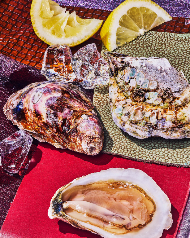 I Heart Reps - Stylists - Maggie DiMarco - Tabletop, Food & Drink