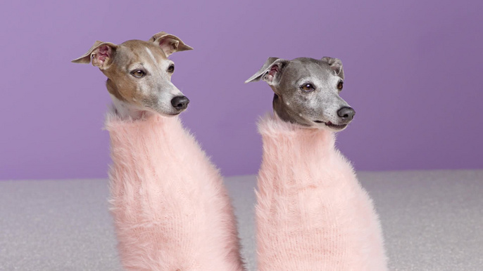 I Heart Reps - News - Target Unity: Cuddle Collab!