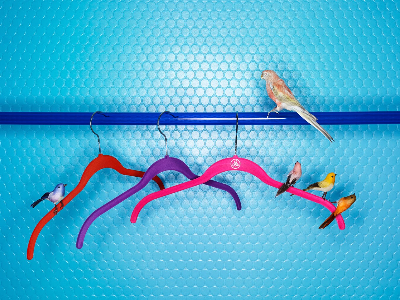 Judy Casey - News - HSN Spring 2014