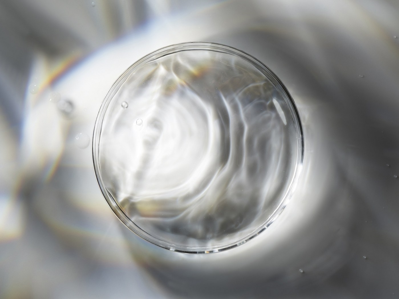 Judy Casey - News - Estee Lauder