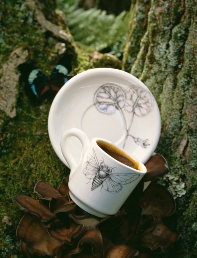 Judy Casey - Soft Goods Stylists - Megan Krieman - Still Life