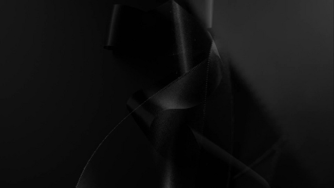 Judy Casey - Photographers - Richard Pierce - Motion