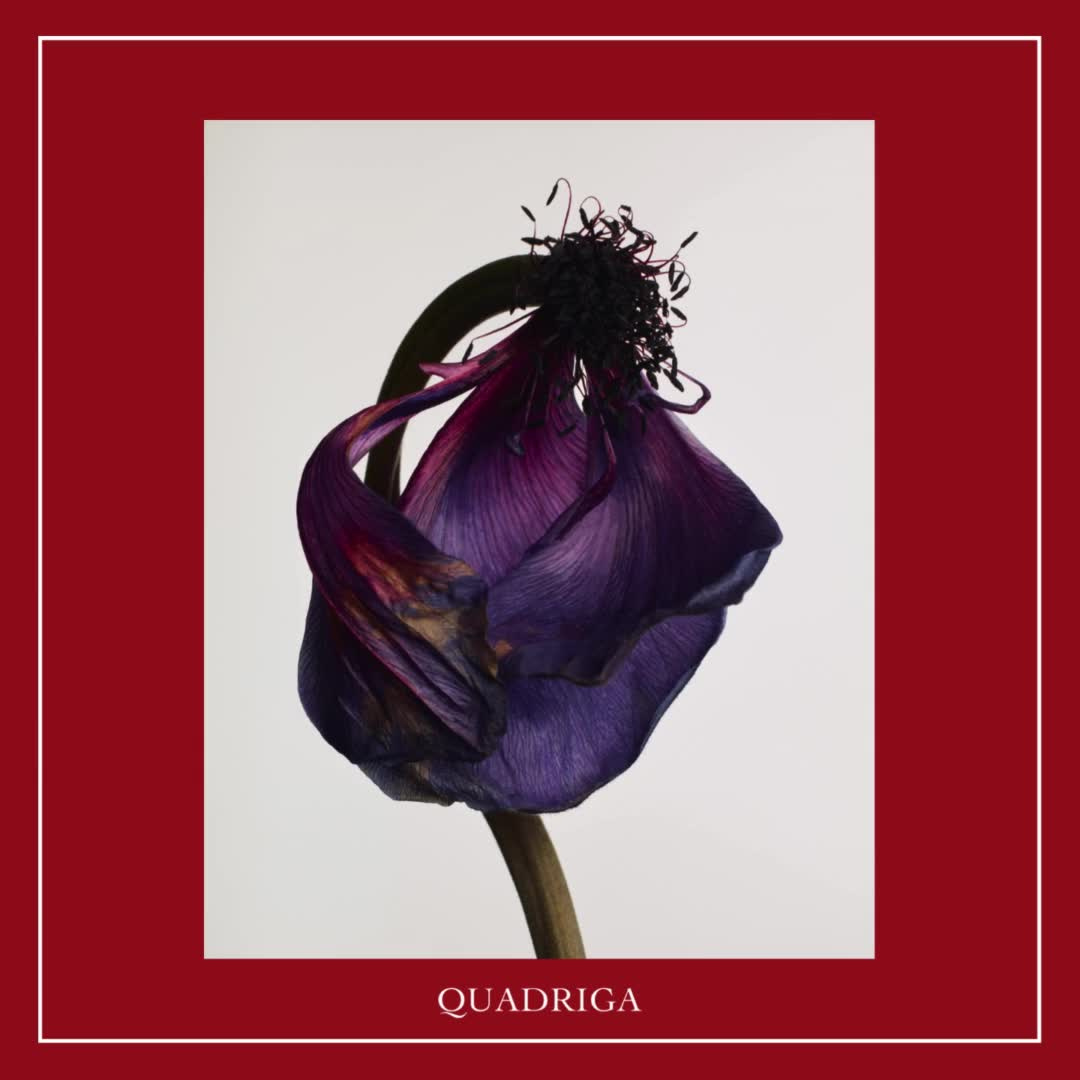 Quadriga - Home
