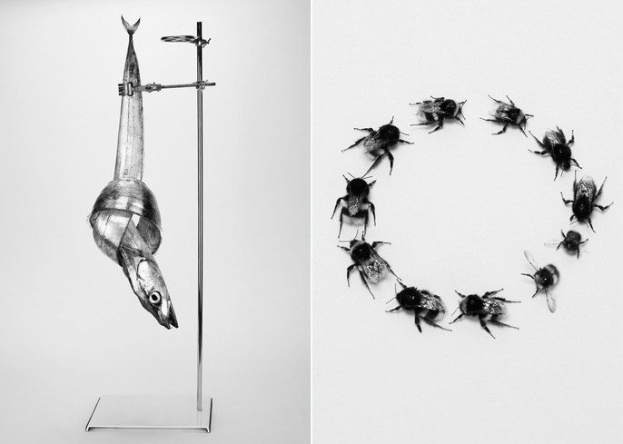 Emma Roach - Set Designer - Streeters